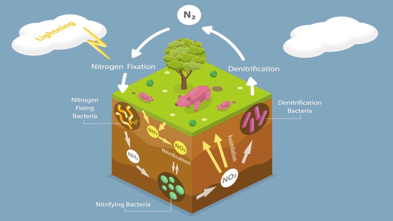 Biogeochemical Cycle of Boron | Borates Today