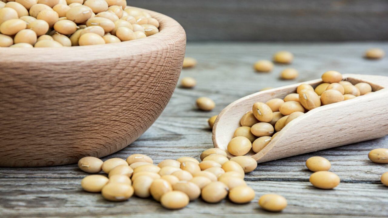 Soybeans: A Superfood Packed With Boron | Borates Today