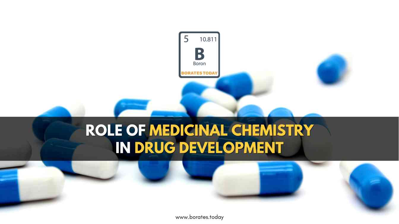 Medicinal Chemistry In Drug Development | Borates Today